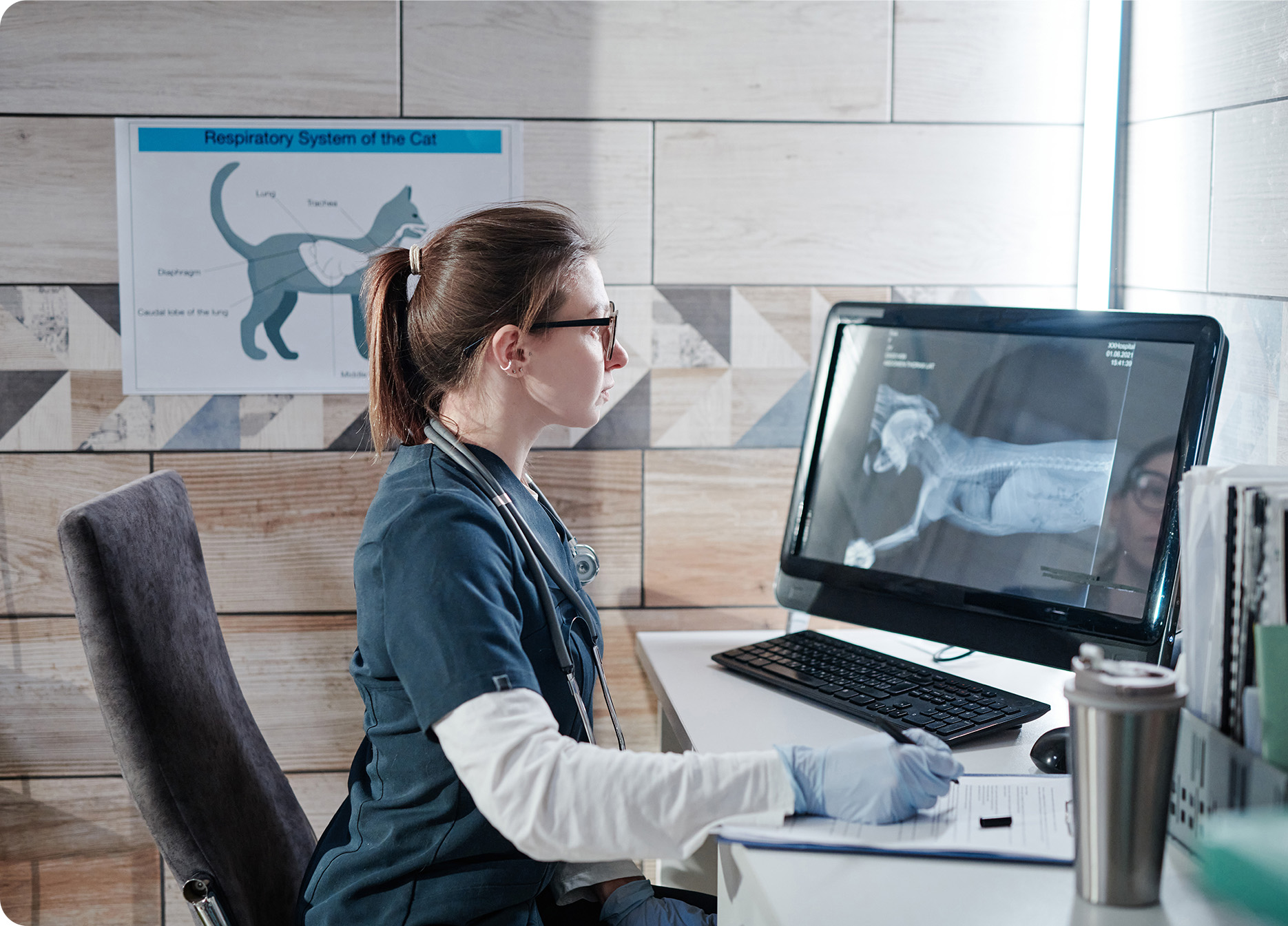 Timeless Veterinary Systems Inc.