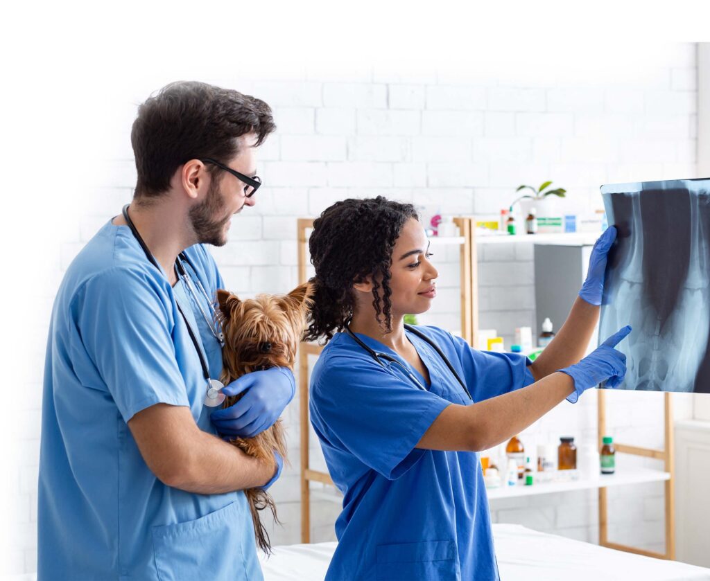 Timeless Veterinary Systems Inc.