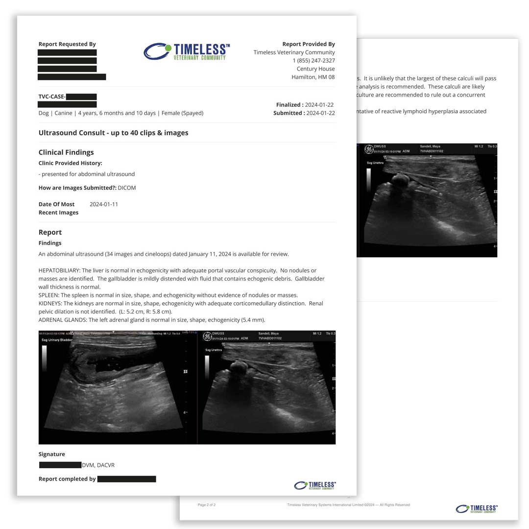 Clinic Reporting – Timeless Veterinary Systems Inc.